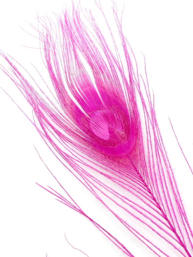 Magenta Peacock Feathers. 5 Dyed Pink Bird Feather. Solid - Etsy