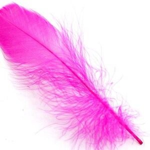 3-5 Inch Hot Pink Feathers. Magenta Goose Quills for Boa Scarves ...