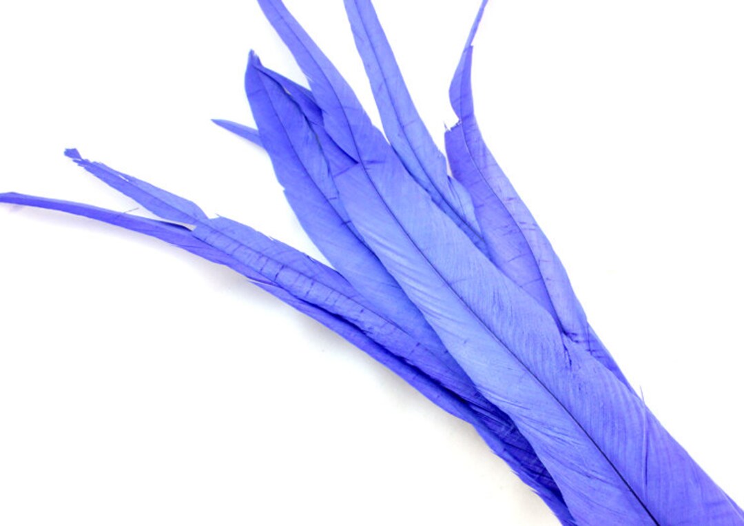 9-11 Inch Rooster Tail Feathers. 5 Long Blue Feather. Navy - Etsy UK