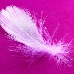 3-5 Inch Light Purple Goose Feathers. Pale Mauve Colored Bird ...