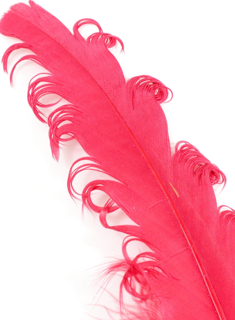 Red Curled Duck Feathers. 5 Curly Goose Craft Feathers With - Etsy