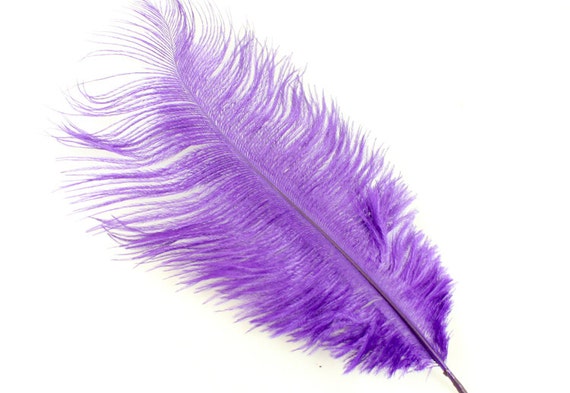 Plum Rooster Hackle Feathers for Making Hair Fascinators Narrow Wine ...