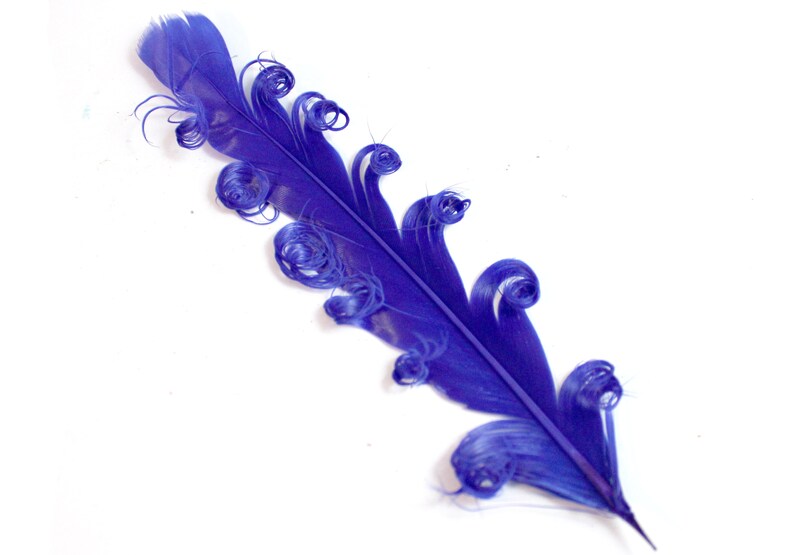 Blue Curled Duck Feathers. 5 Navy Colored Bird Feathers for - Etsy