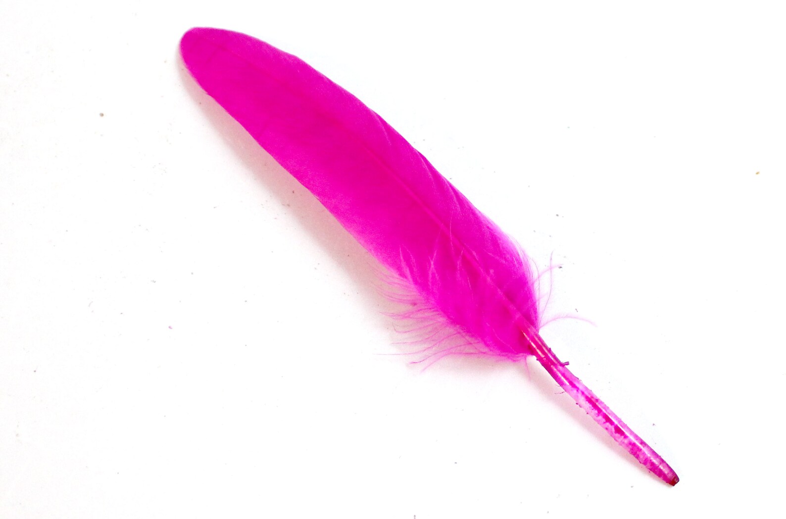 4-6 Inch Magenta Duck Feathers. 10 Smooth Fushica Feathers | Etsy