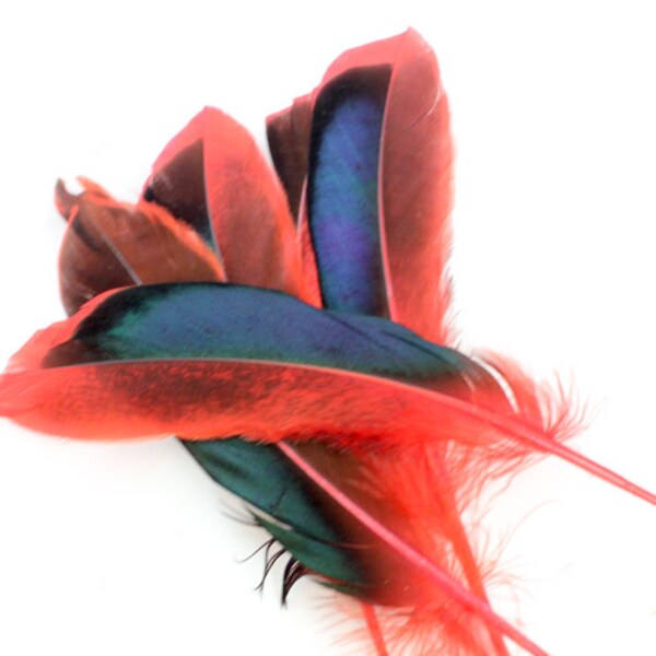Arrow Feathers - Etsy