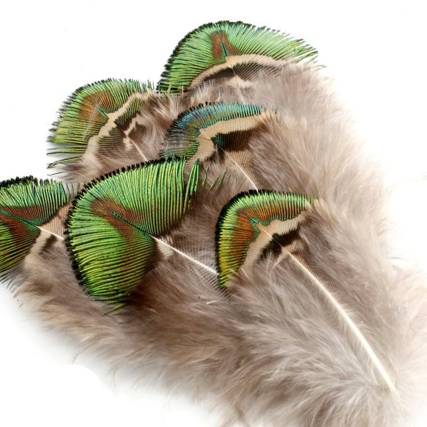 Fancy Feathers - Etsy