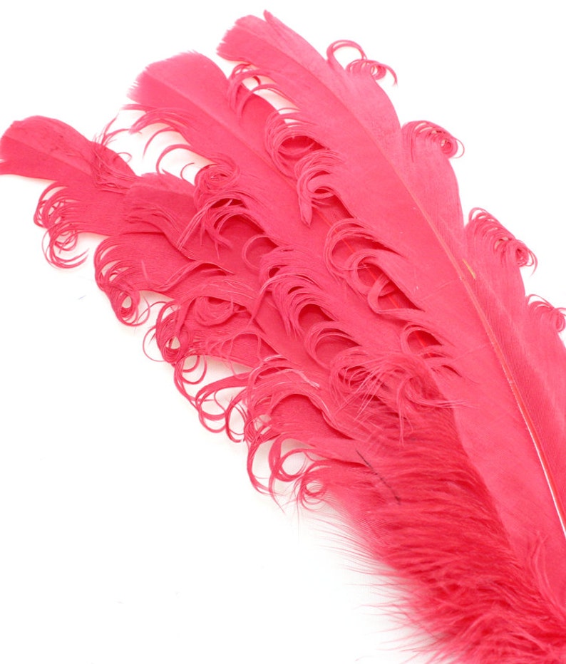 Red Curled Duck Feathers. 5 Curly Goose Craft Feathers With - Etsy