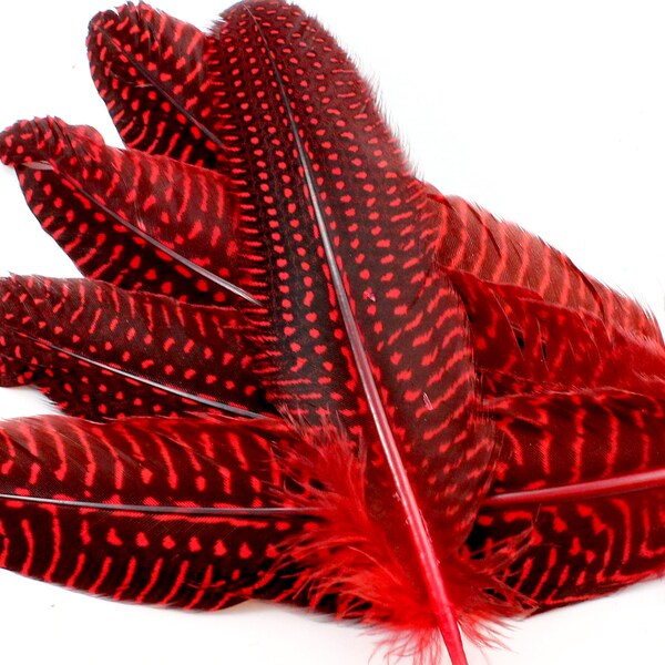 Red Feathers - Etsy