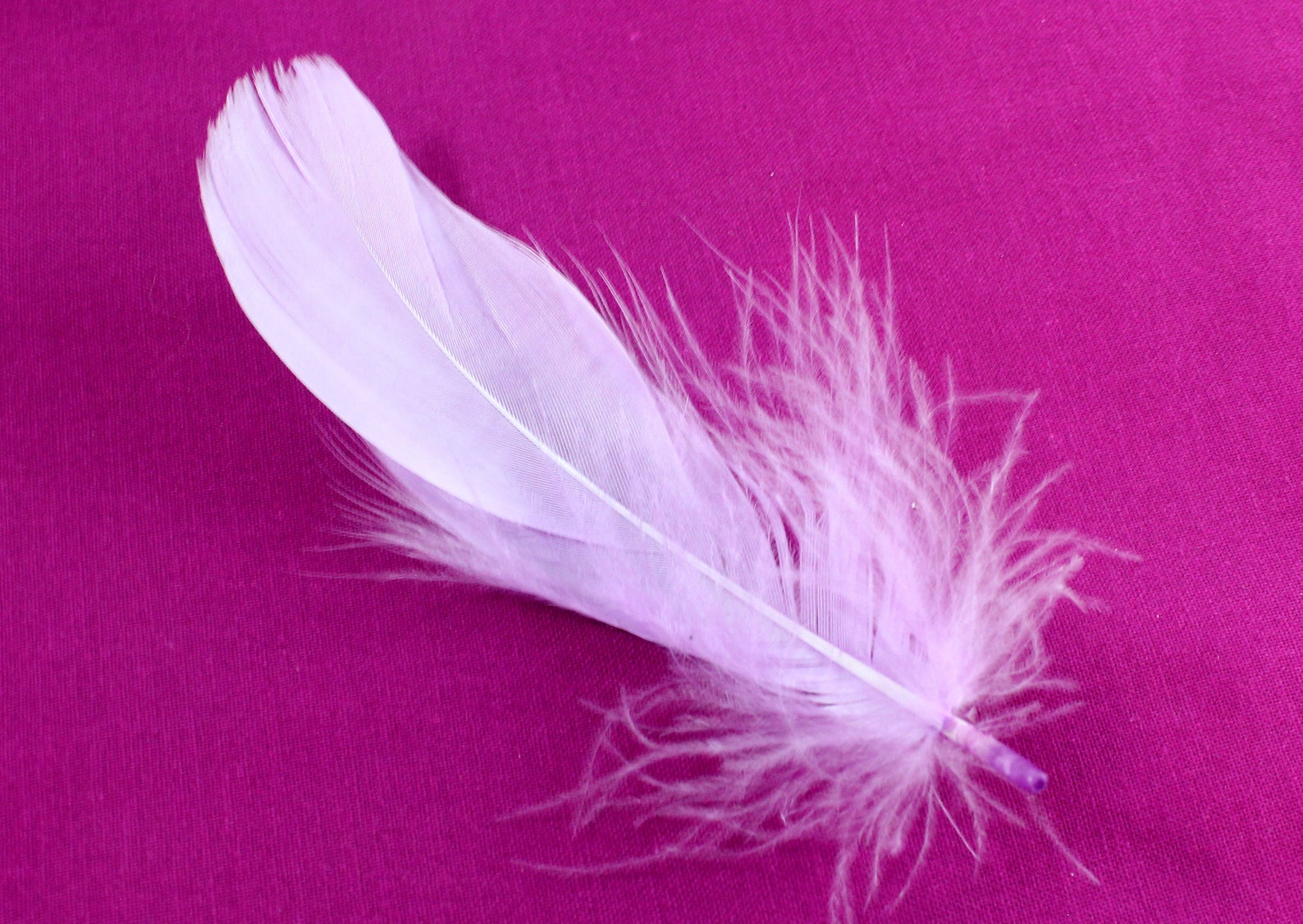 3-5 Inch Light Purple Goose Feathers. Pale Mauve Colored Bird - Etsy Canada
