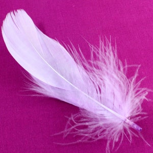 3-5 Inch Light Purple Goose Feathers. Pale Mauve Colored Bird ...