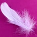 3-5 Inch Light Purple Goose Feathers. Pale Mauve Colored Bird ...