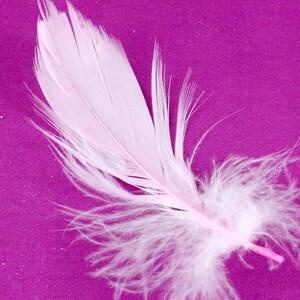 3-5 Inch Baby Pink Feathers. Light Colored Plumes for Making Cat Toys ...
