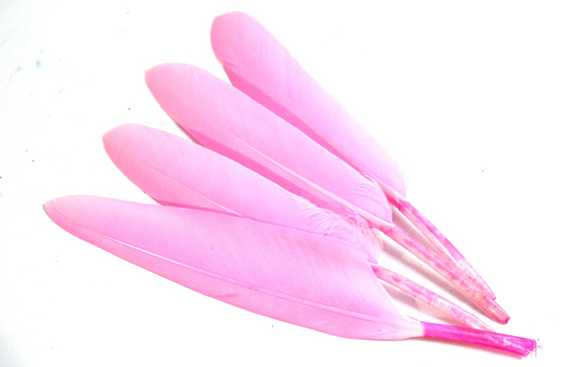 4-6 Inch Pink Duck Feathers. 10 Smooth Feathers for | Etsy