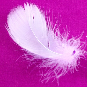 3-5 Inch Light Purple Goose Feathers. Pale Mauve Colored Bird ...
