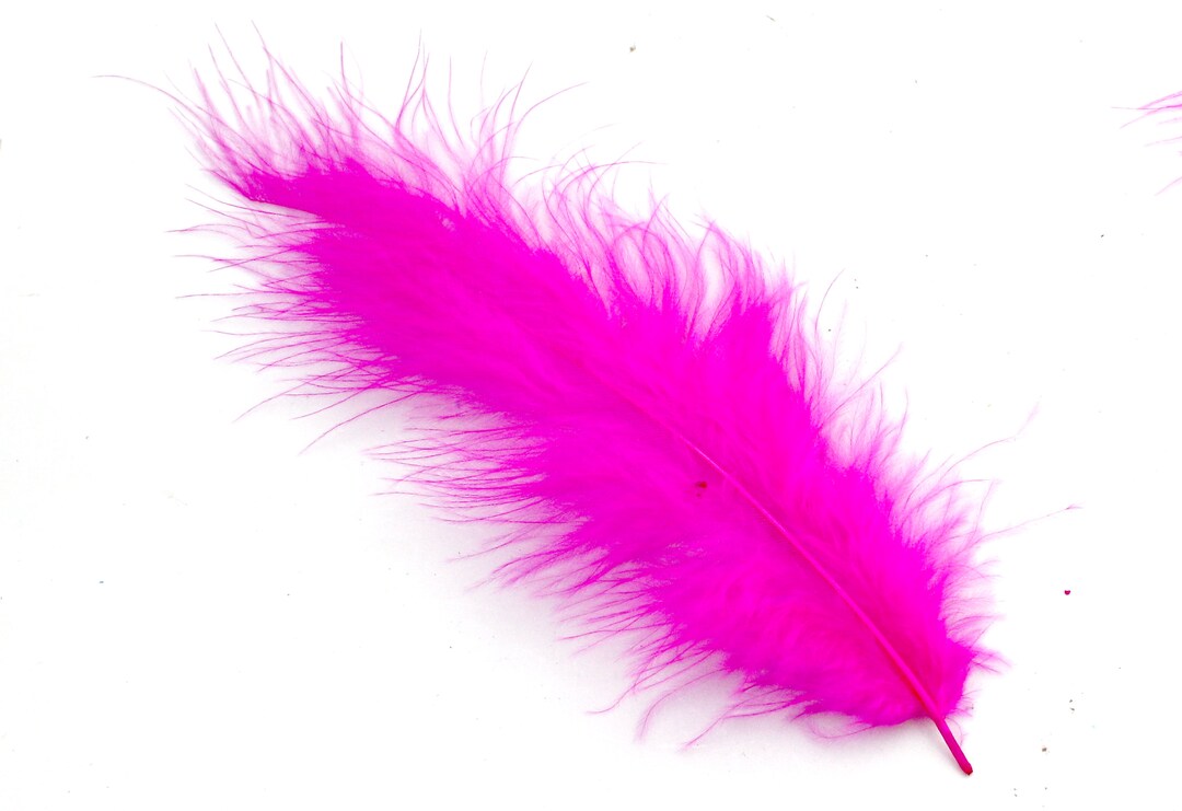 3-6 Inch Hot Pink Marabou Feathers 10 Bright Magenta Colored - Etsy Canada