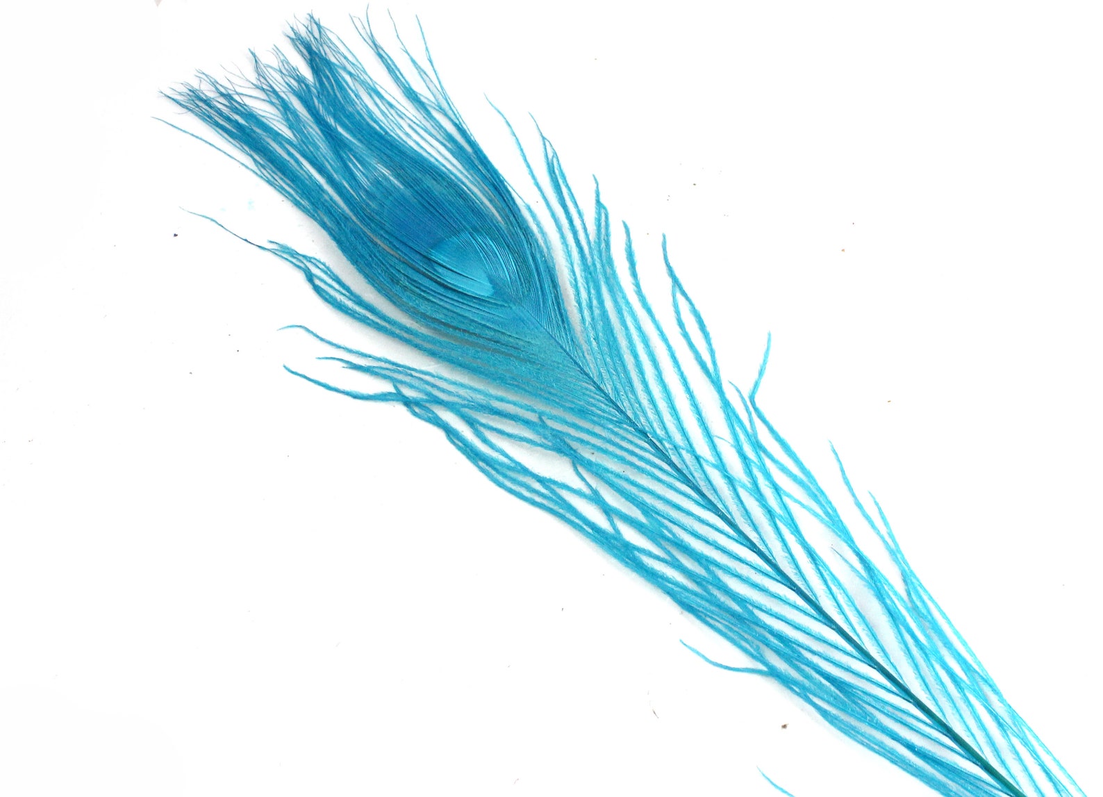 Plumas azules de pavo real. 5 Pluma de pájaro teñida de | Etsy