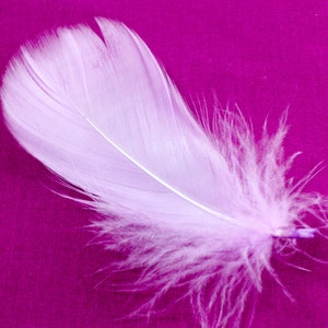 3-5 Inch Light Purple Goose Feathers. Pale Mauve Colored Bird ...