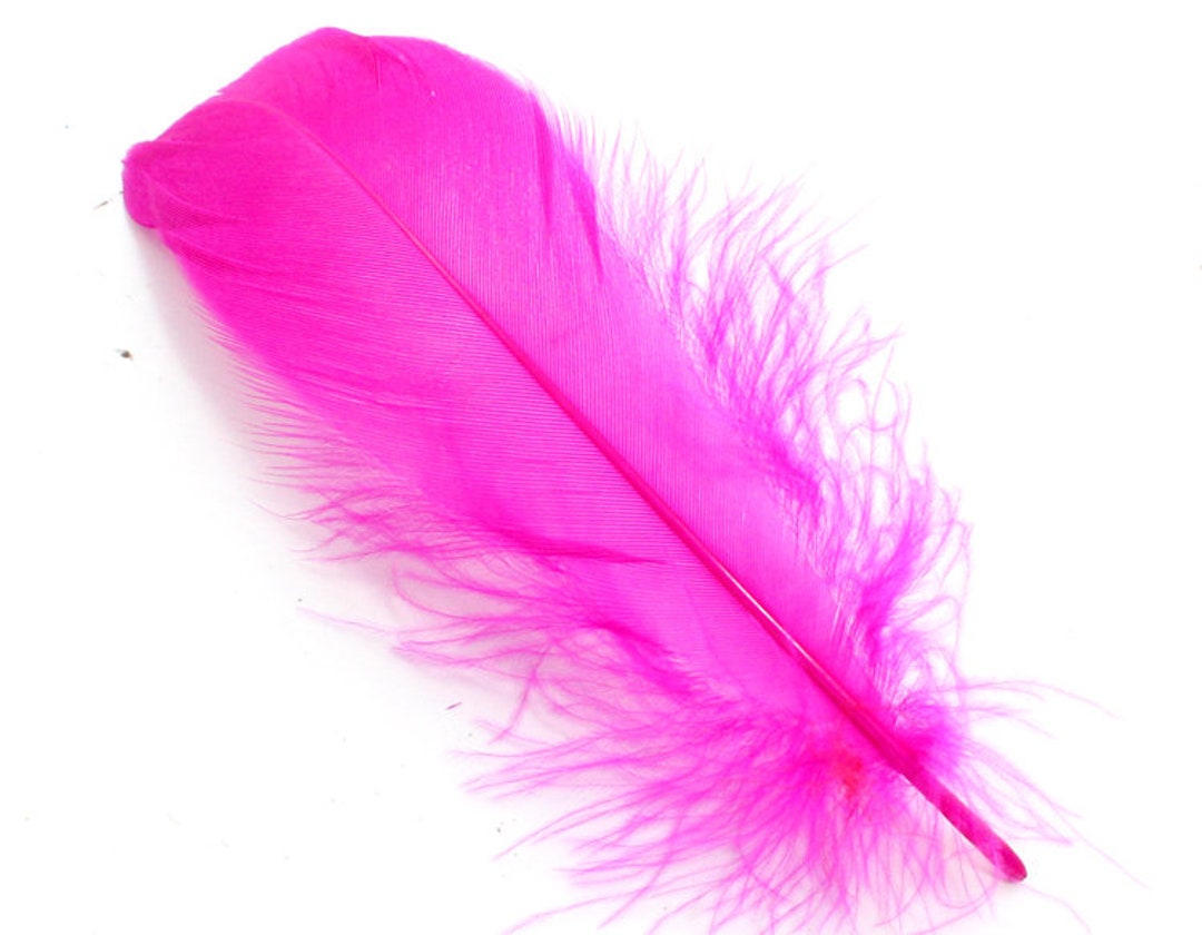 3-5 Inch Hot Pink Feathers. Magenta Goose Quills for Boa Scarves ...