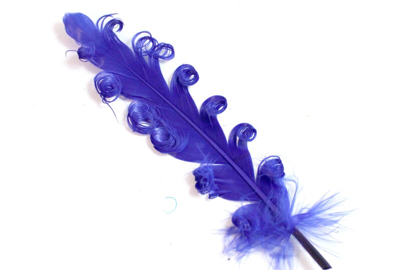 Blue Curled Duck Feathers. 5 Navy Colored Bird Feathers for - Etsy