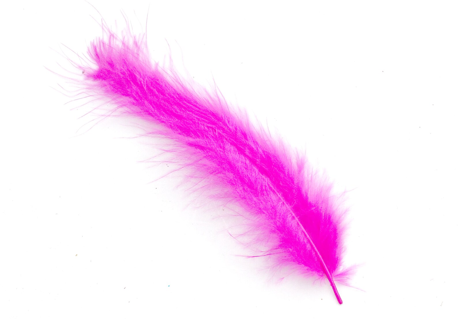 3-6 Inch Hot Pink Marabou Feathers 10 Bright Magenta Colored | Etsy