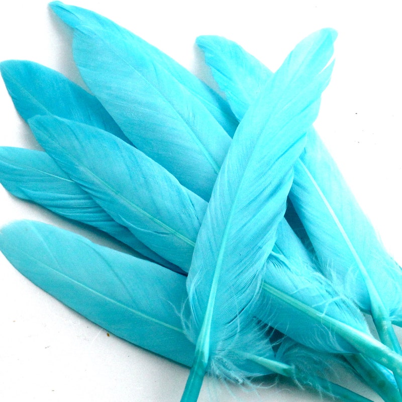 Light Blue Feathers - Etsy