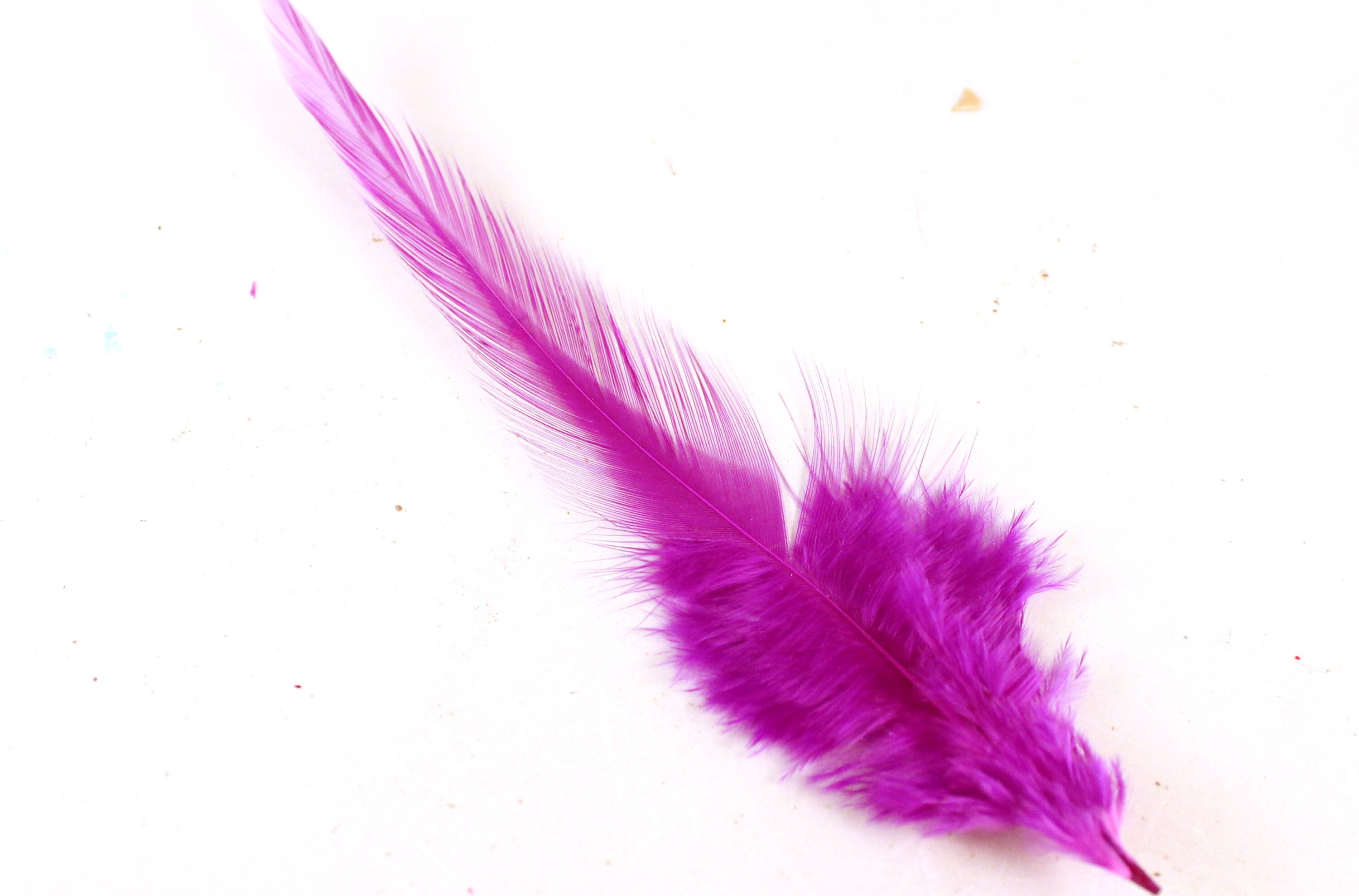 Plum Rooster Hackle Feathers for Making Hair Fascinators Narrow Wine ...