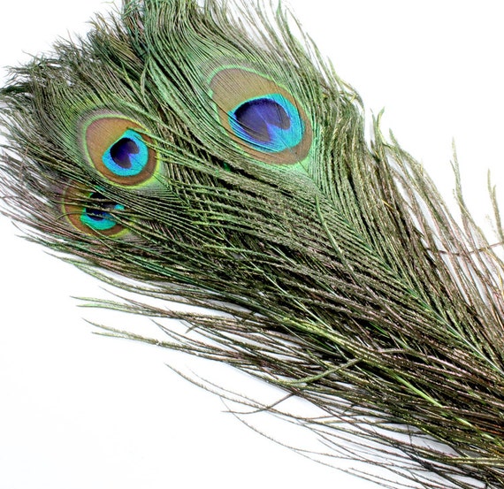 Dark Green Feathers