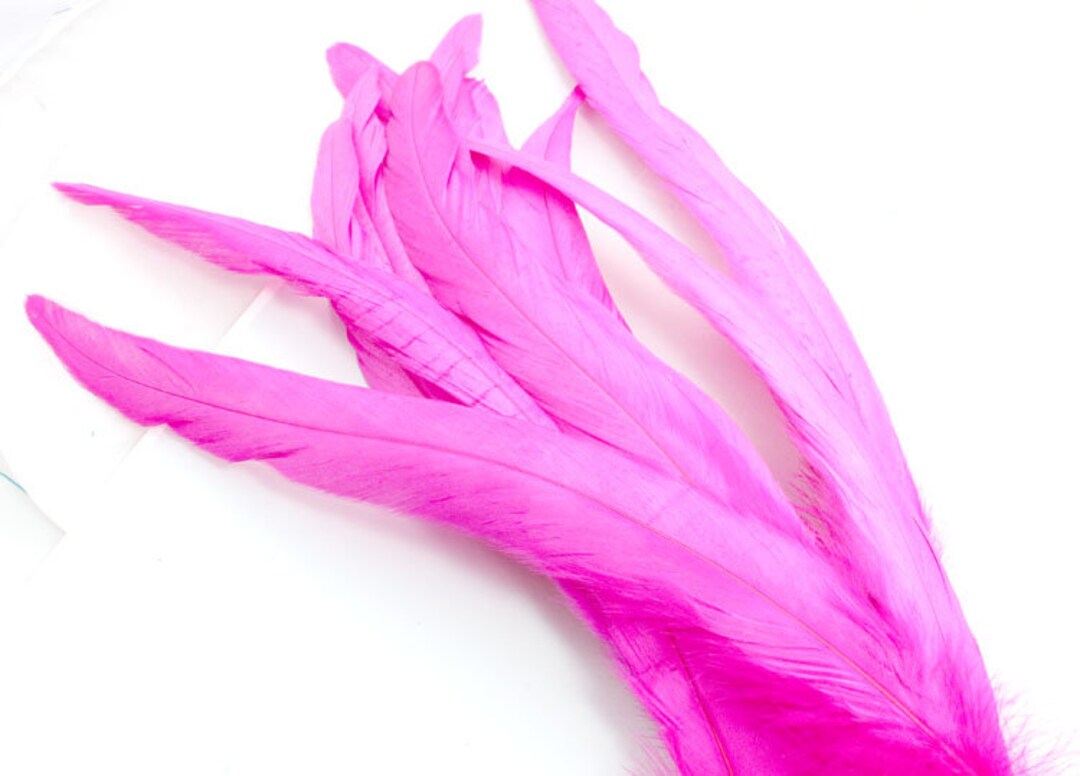 9-11 Inch Pink Bird Feathers. (5) Long Thin Pointed Quills. Hot Magenta ...