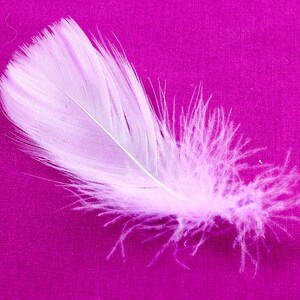 3-5 Inch Light Purple Goose Feathers. Pale Mauve Colored Bird ...
