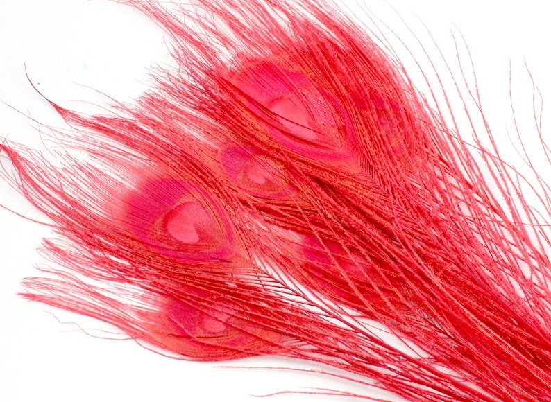 Red Peacock Feathers. 5 Cardinal Colored Bird Decorations - Etsy