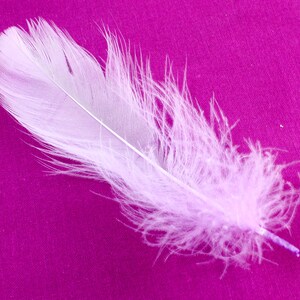 3-5 Inch Light Purple Goose Feathers. Pale Mauve Colored Bird ...