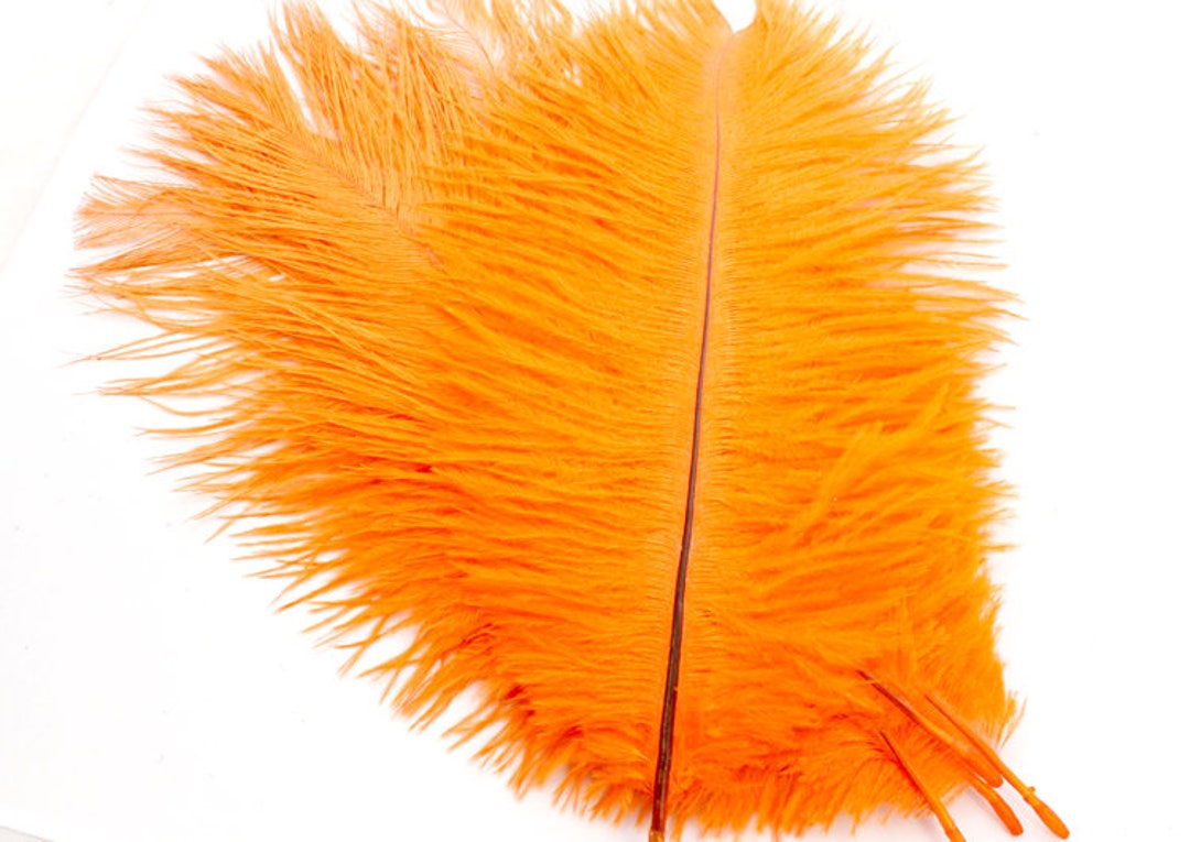 7-9 Inch Orange Ostrich Feathers. (5) Orange Feather for Wedding Decor ...