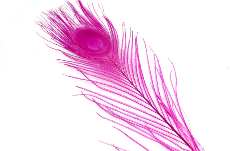 Magenta Peacock Feathers. 5 Dyed Pink Bird Feather. Solid - Etsy