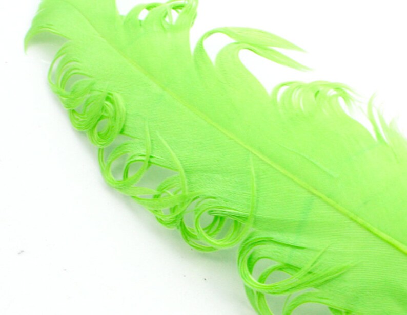 6-8 Inch Green Curled Duck Feathers. 5 Curly Craft Feathers. | Etsy