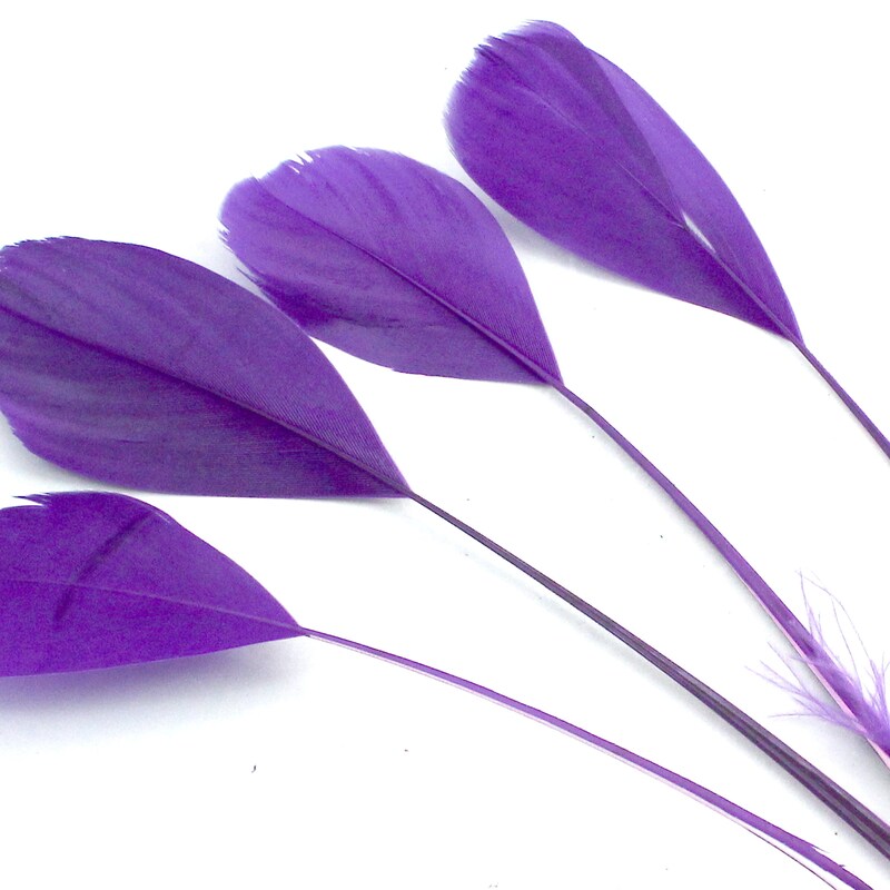 Purple Feathers - Etsy