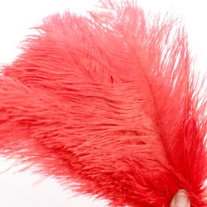 Red Feathers - Etsy