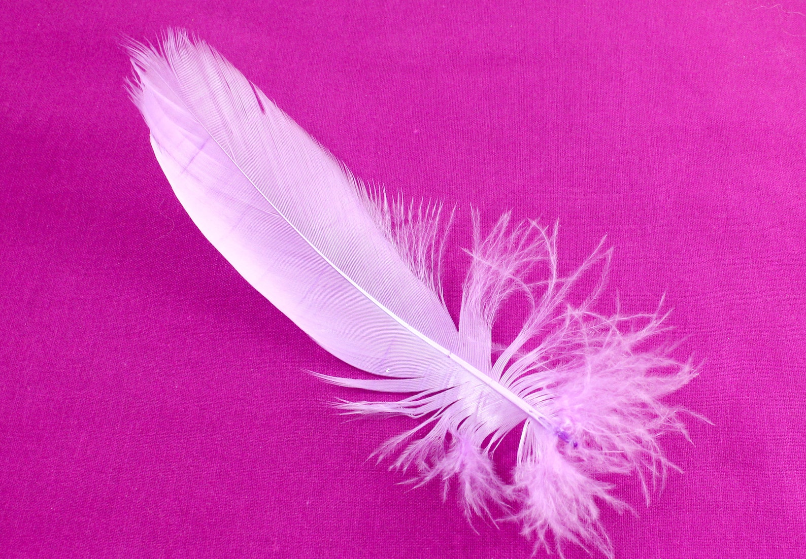 3-5 Inch Light Purple Goose Feathers. Pale Mauve Colored Bird - Etsy Canada