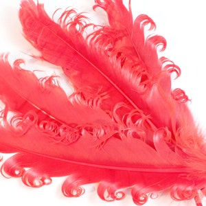 Red Curled Duck Feathers. (5) Curly Goose Craft Feathers With Long ...