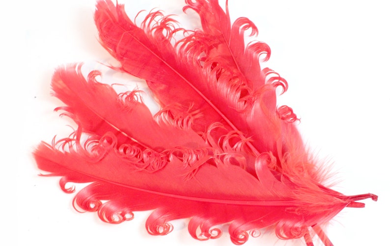 Red Curled Duck Feathers. 5 Curly Goose Craft Feathers With - Etsy