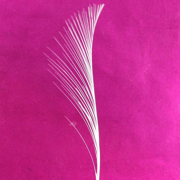 Egret - Etsy