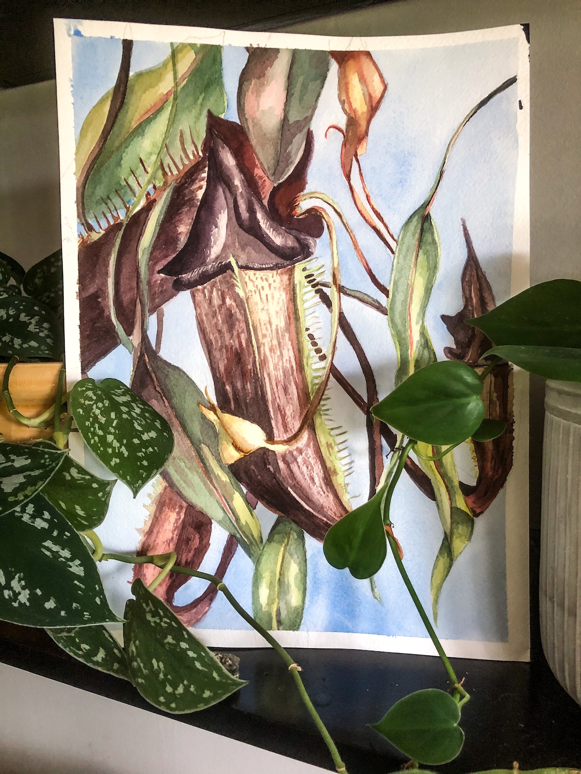 Carnivorous Plant- Pitcher Plant Art- Plant Painting- Art Work- Nature ...