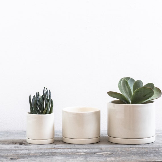 Tabletop Planter With Tray in White | Etsy