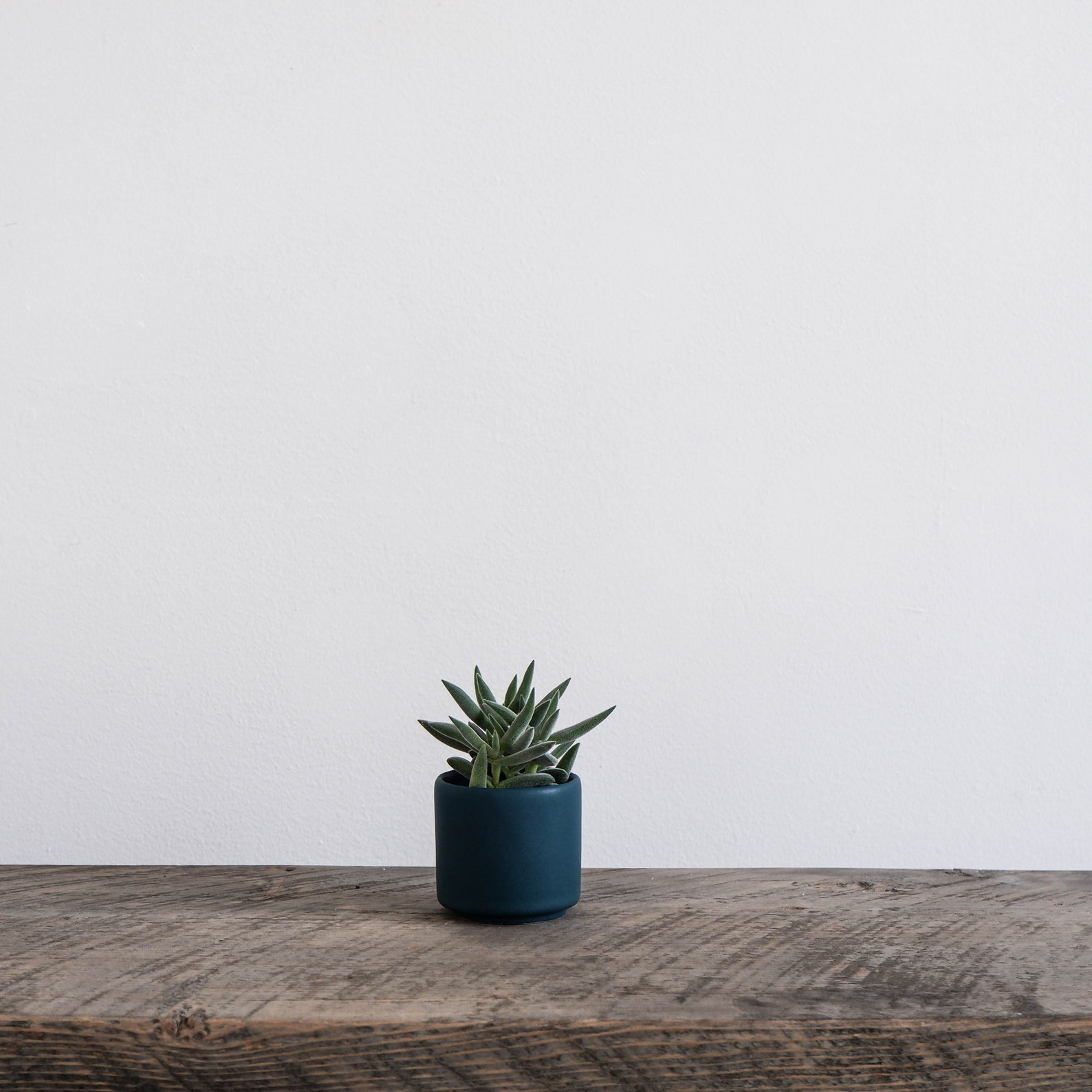 Mini Planters | Etsy