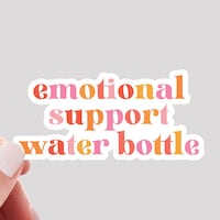 Bobby Boucher H2o Waterboy Vinyl Sticker or Magnet (matte Finish) - Etsy