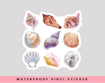 Pink Seashell Sticker - Etsy