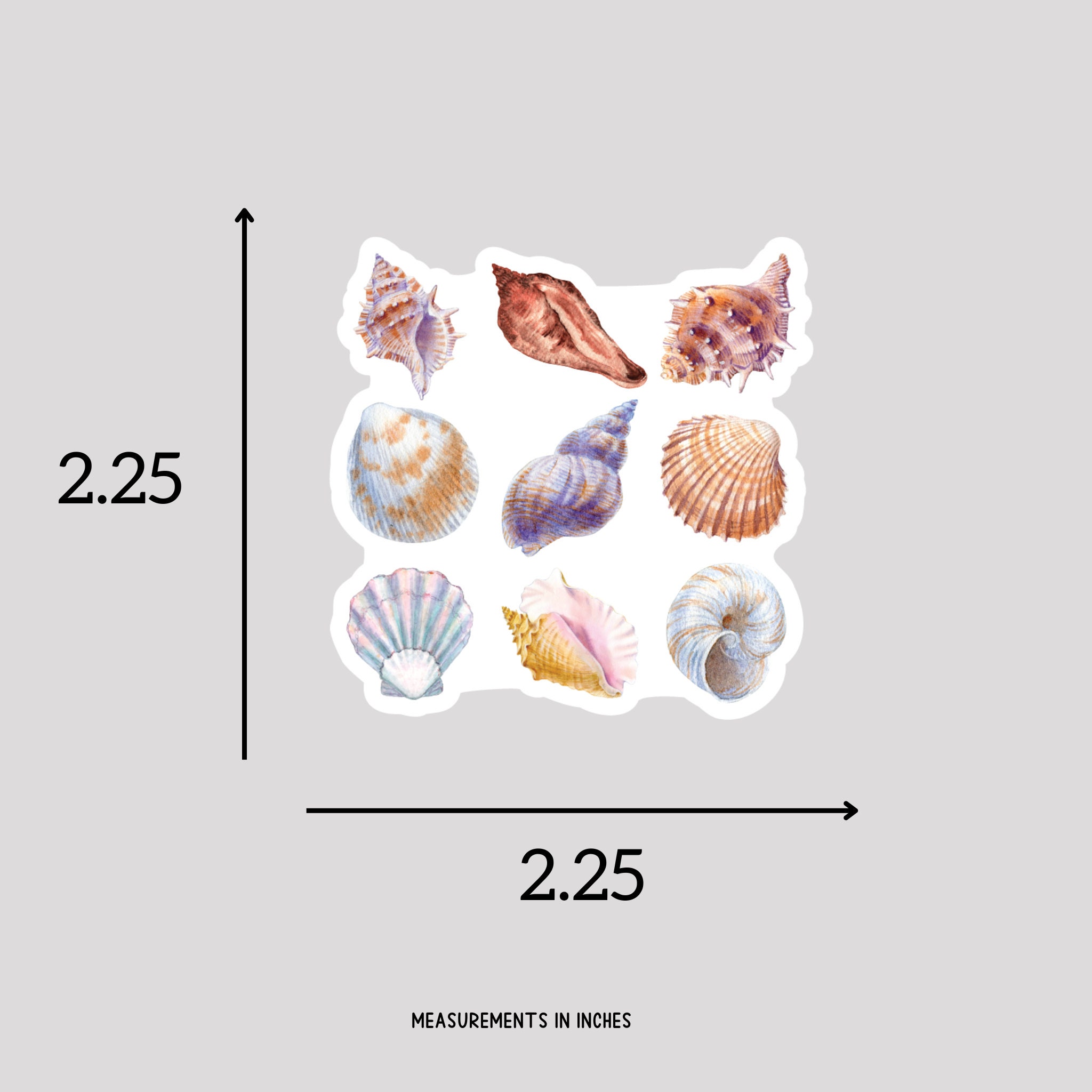 Seashell Sticker, Beach Sticker, Shell Collage Sticker - Etsy