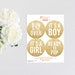Pregnancy Bump Stickers Gold Glitter Modern Chic Belly Sticker Set - Etsy