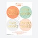 The Gemma | Baby Stickers Baby First Year Sticker Set 12 Months - Etsy