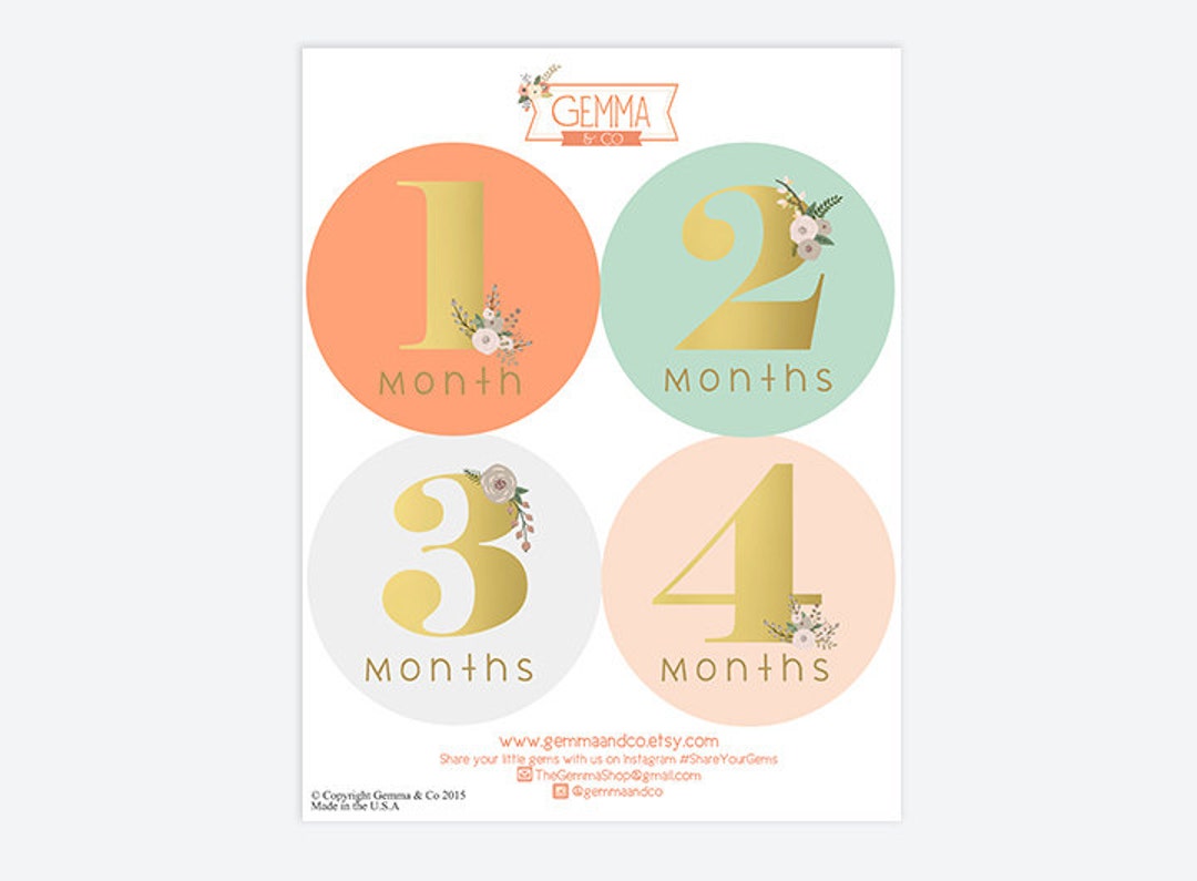 The Gemma | Baby Stickers Baby First Year Sticker Set 12 Months - Etsy