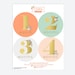 The Gemma | Baby Stickers Baby First Year Sticker Set 12 Months - Etsy